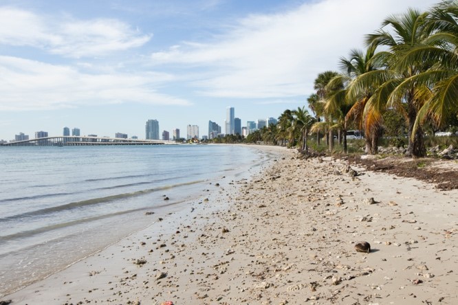 Not Just a Visitor: How Florida Coasts are Preparing for Climate Change ...